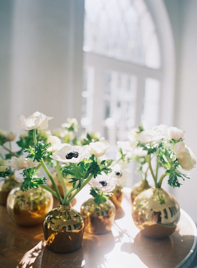 Our Work | Curated Events